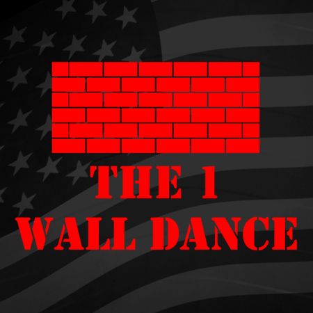 1 Wall Line Dance Iron on Transfer