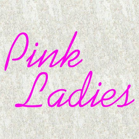 Pink Ladies Design 1 Iron on Transfer