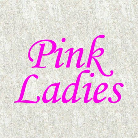 Pink Ladies Design 2 Iron on Transfer